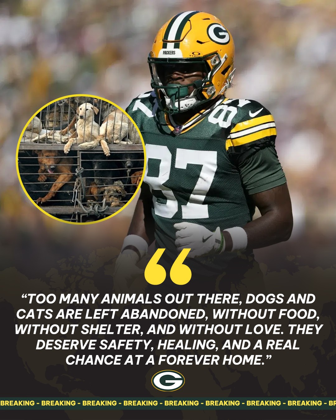 🧀TRENDING: Packers’ Star Turns Compassion Into Action, Investing in New ...